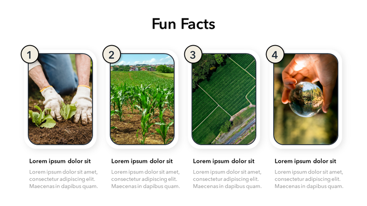 Fun Facts Slide | PPT | Google Slides