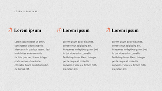 Paper Background Template | PPT | Google Slides