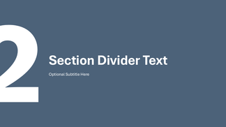 Section Divider Slide Set | PPT | Google Slides