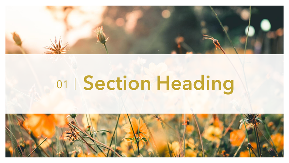 Section Divider Slides | Templates for PowerPoint | Linia Presentations