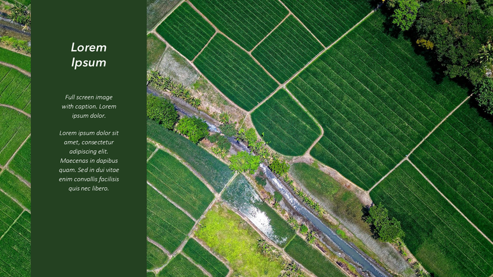 Photo Slide | PowerPoint | Google Slides