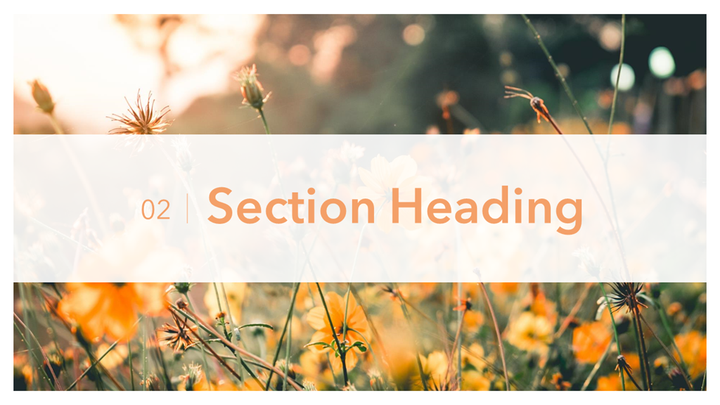 Section Divider Slides | Templates for PowerPoint | Linia Presentations
