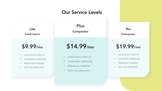 Our Services Levels Template | PowerPoint Slide